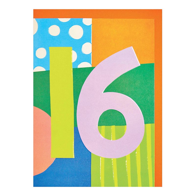Raspberry Blossom Age 16 Birthday Card